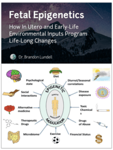 Fetal Programming - Dr. Brandon M Lundell